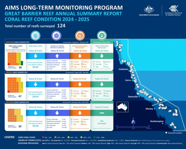 Substantial impacts from 2024 mass coral bleaching and cyclones in ...