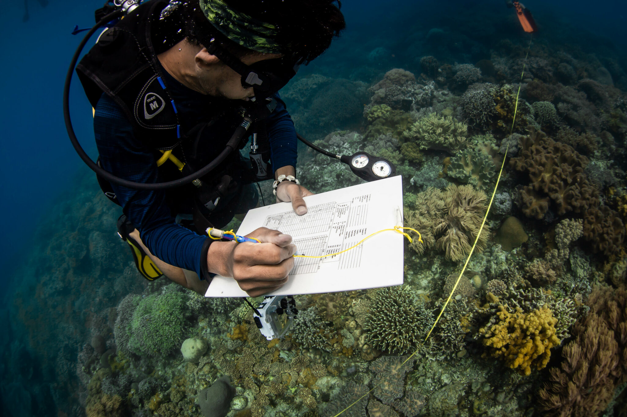 WCS Launches Global Strategy to Secure the Future of Coral Reefs in a ...